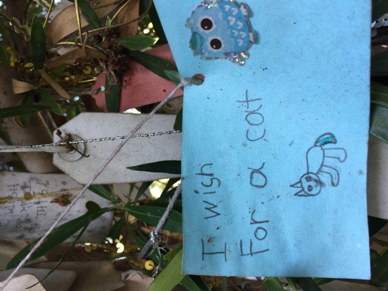 Warning Sign: A Post-Trump Digital Divide Between Nonprofits ...